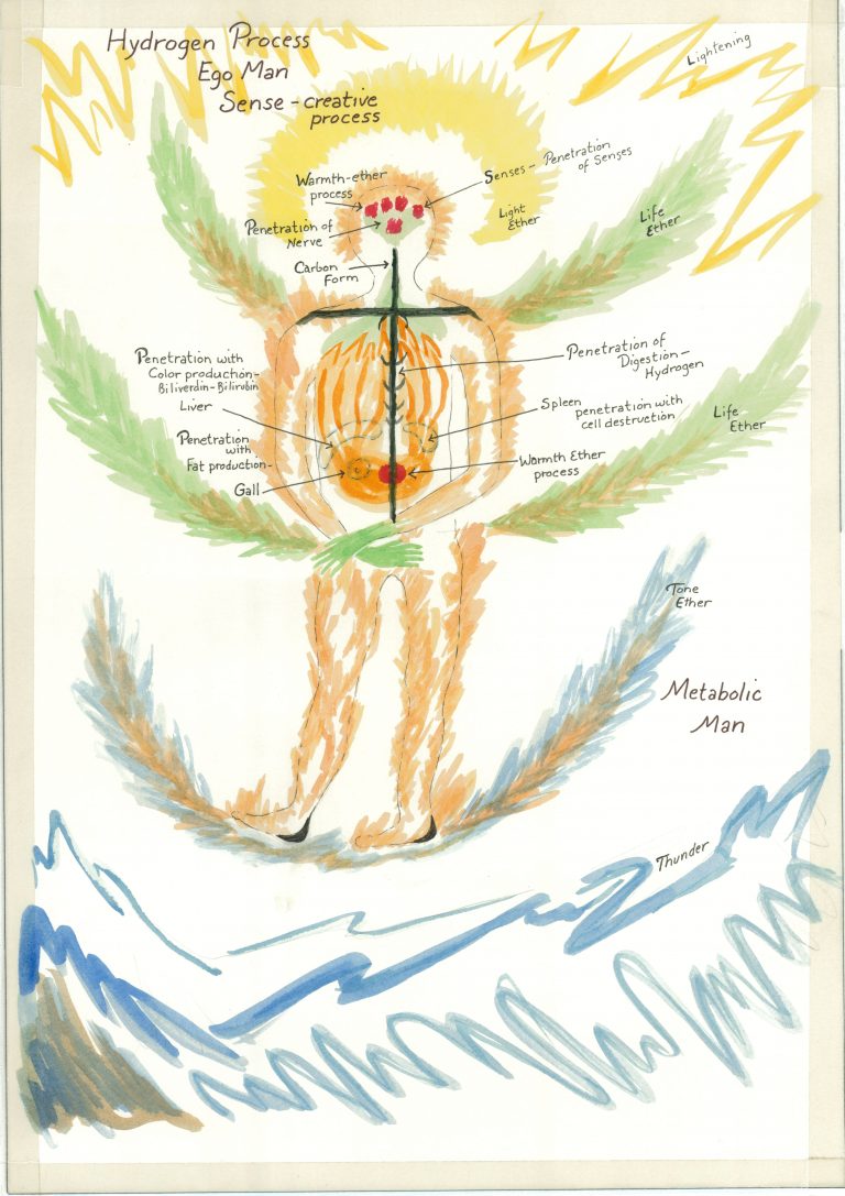 Works of Paul W. Scharff M.D. » Carbon, Oxygen, Nitrogen, & Hydrogen Man